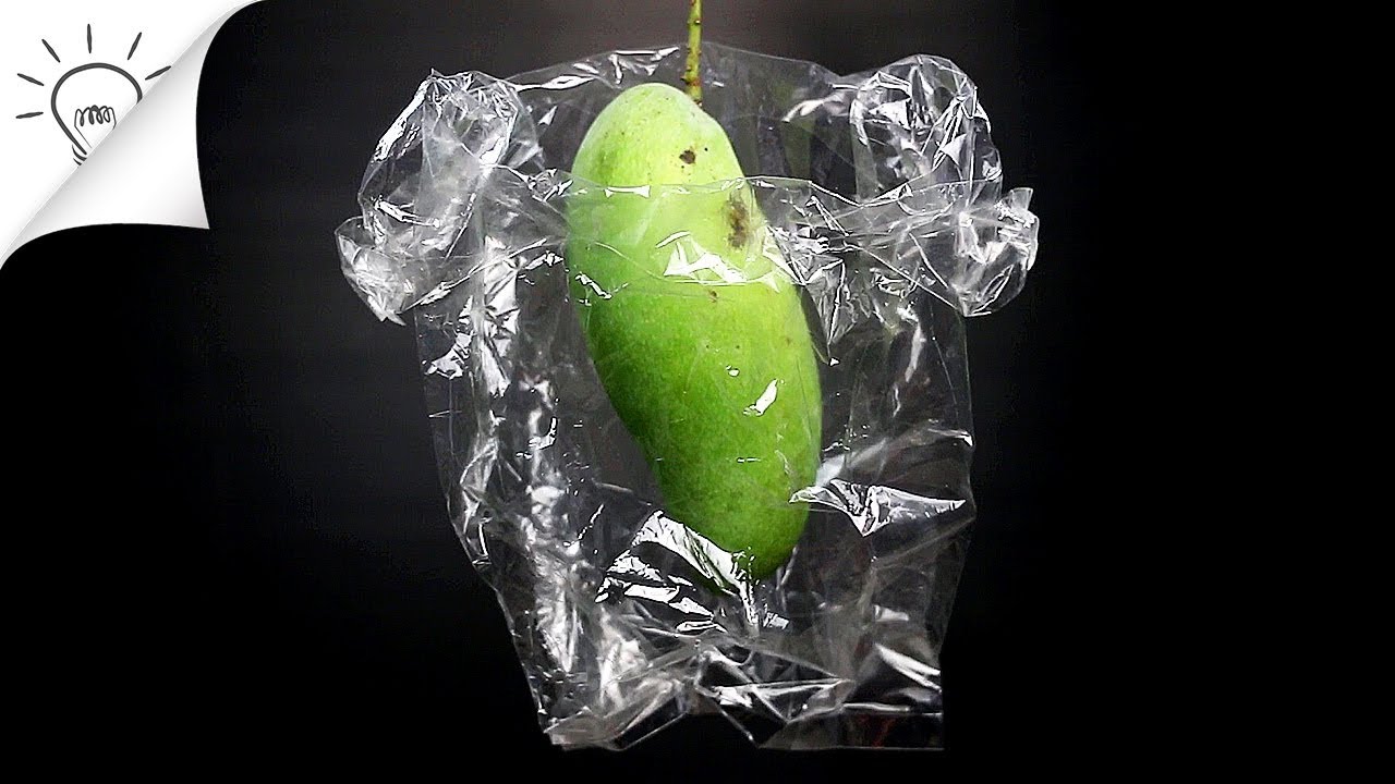 Fruit Wrapper Device From Plastic Bottle | Do it yourself - Thaitrick